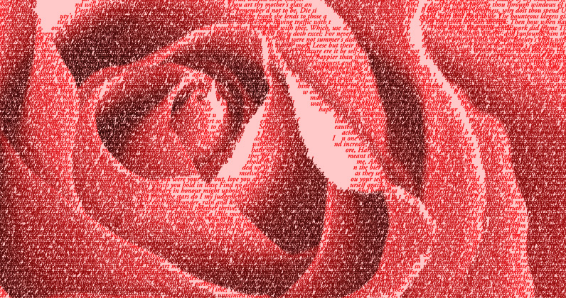 Products - Typographic Expressions